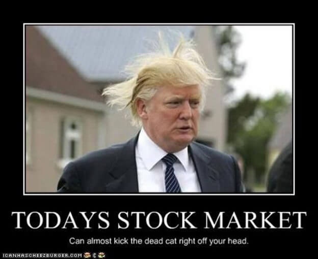 37 funny pictures and memes from the stock market | Trademetria