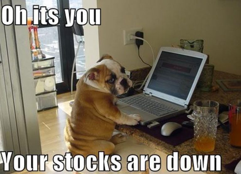 37 funny pictures and memes from the stock market | Trademetria